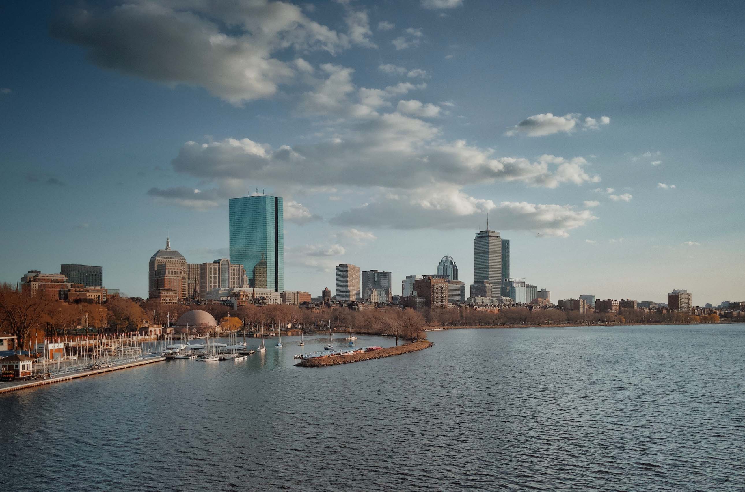 Unleashing Your Inner Terrier: A Step-by-Step Guide to the BU Off ...